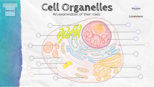 Eukaryotic Cell Organelles | Genially