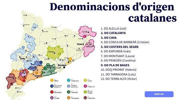 DO vins Catalunya | Genially