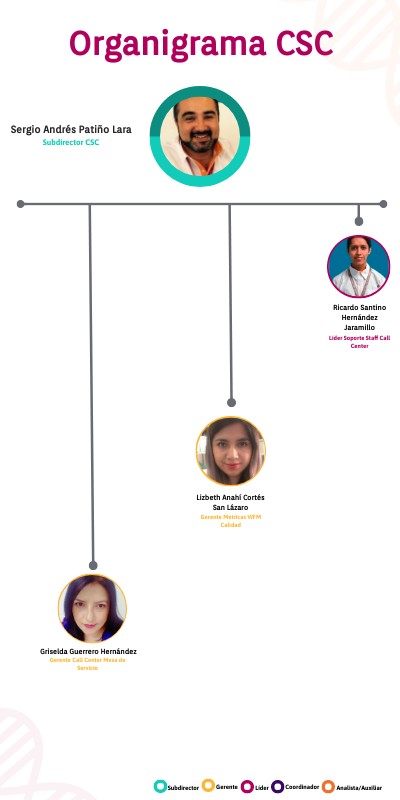 Organigrama CSC | Genially