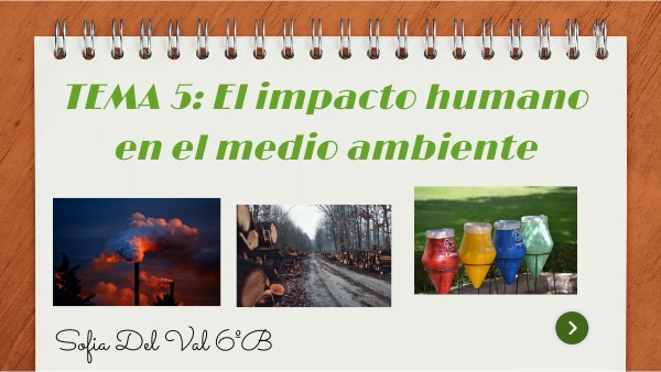 TEMA 5