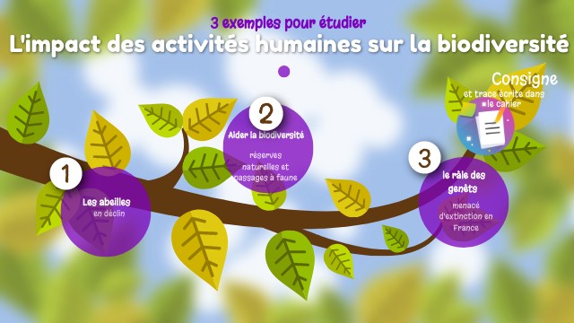 L'impact des activité"s humaines sur la biodiversit