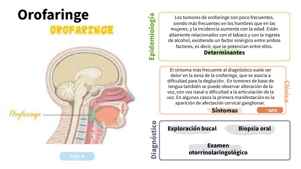 Epidemiología, clínica y diagnóstico: Orofaringe | Genially