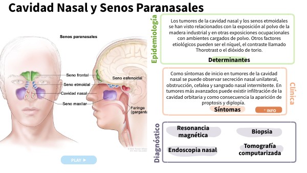 Epidemiología, clínica y diagnóstico: Cavidad Nasal y Senos Paranasale