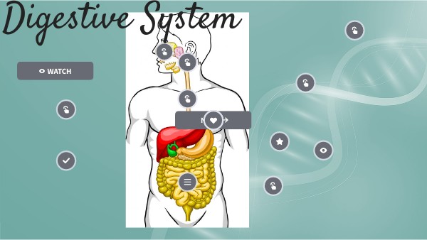 Digestive System