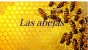 Abejas