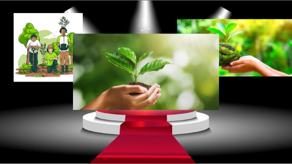 MATRIXES UNIVERSITY THESIS