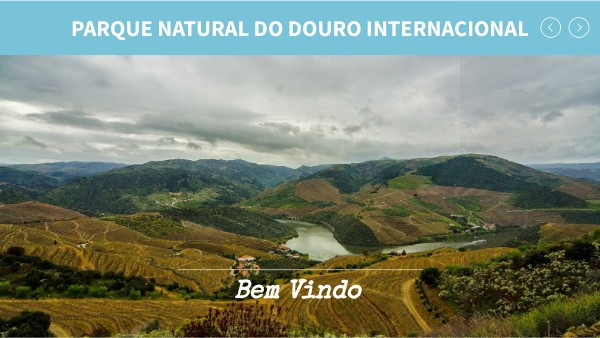 Parque Natural do douro Internacional