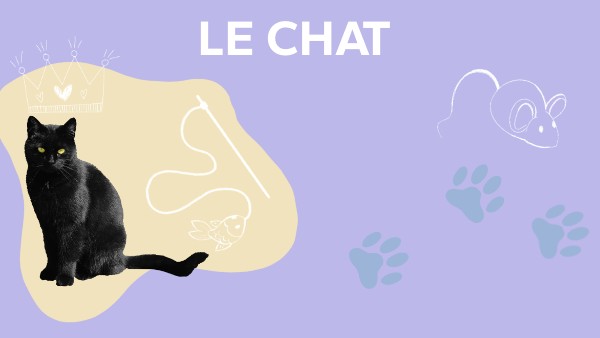 le chat | Genially
