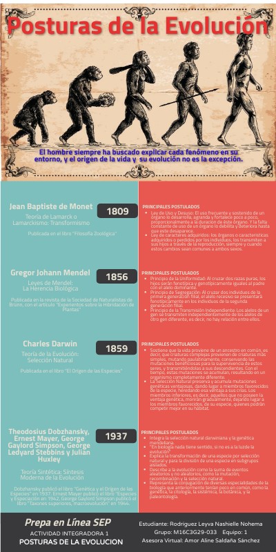 POSTURAS DE LA EVOLUCION | Genially