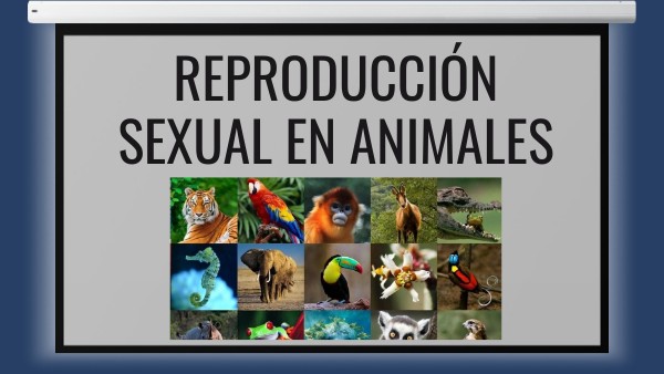 Reproducción sexual en animales | Genially