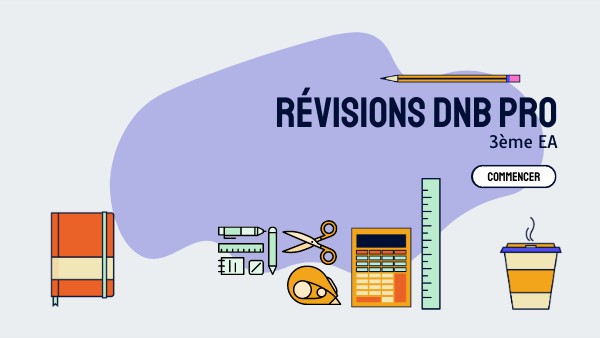 révision DNB PRO | Genially