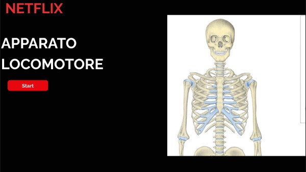 Presentazione apparato locomotore | Genially