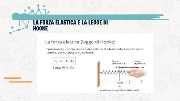 Presentazione forza elastica e legge di Hooke | Genially