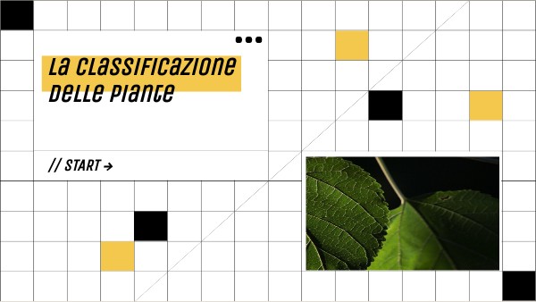 LA CLASSIFICAZIONE DELLE PIANTE | Genially