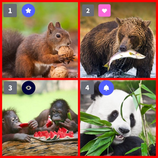 Original Science Learning Landscape | Genially