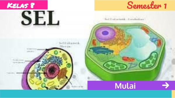 Pengenalan Sel | Genially