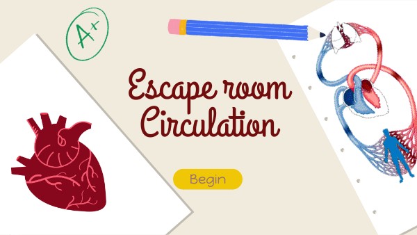 ESCAPE ROOM CIRCULATION
