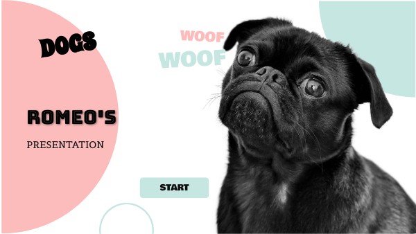 ROMEOS DOG PRESENTATION