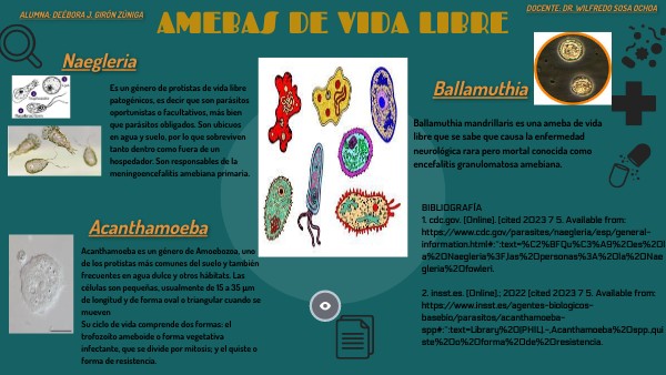 AMEBAS DE VIDA LIBRE | Genially