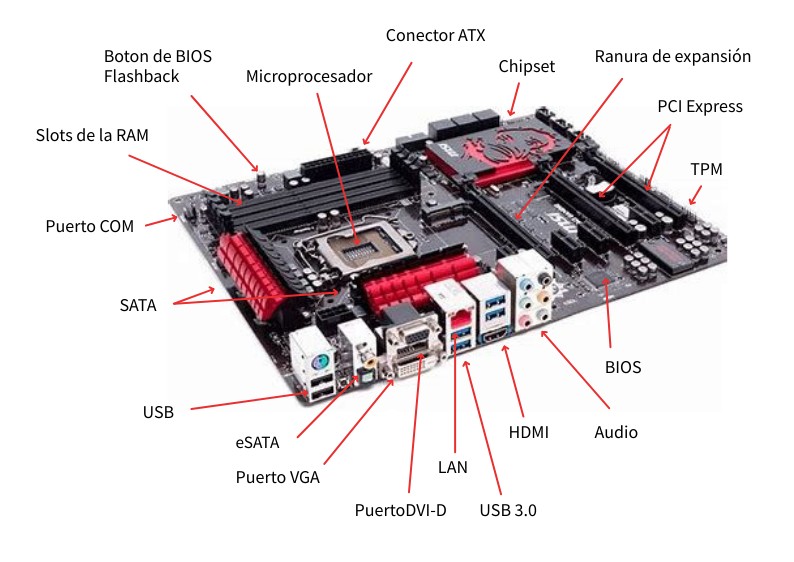 Placa Base | Genially