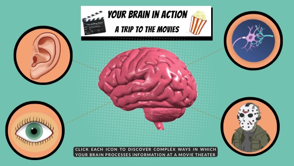 BRAIN AND MOVIES