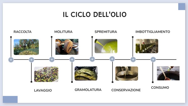 IL CICLO DELL'OLIO | Genially