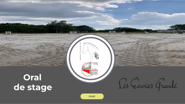 Oral de stage | Genially