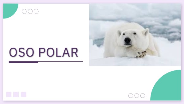 TRABAJO OSO POLAR | Genially