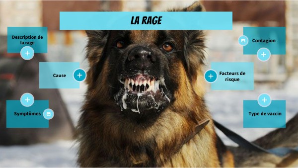 La rage par Alysia-Rose Leblanc et Emma Parent | Genially