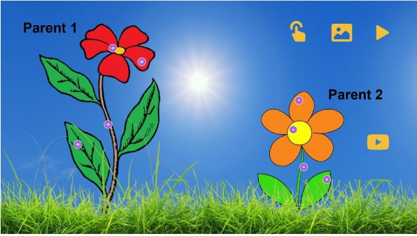 Traits of Plant Parents | Genially