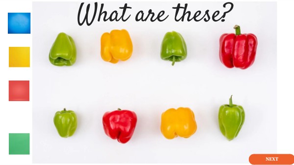 WATERCOLOR COLORS QUIZ | Genially