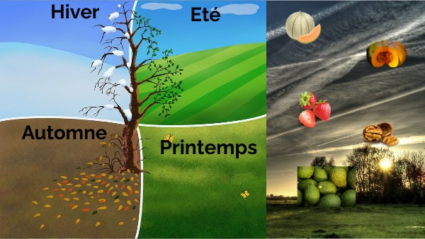 les fruits et légumes de saison | Genially