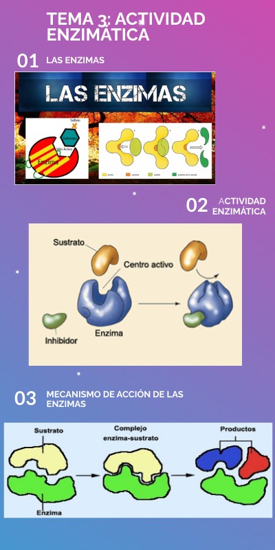 4to año tema 3 | Genially