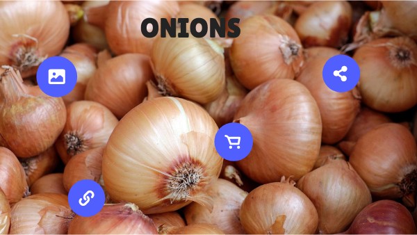 Onion information | Genially