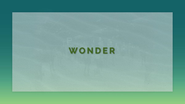 Wonder