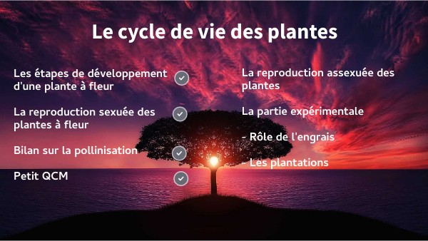 Le cycle de vie des plantes | Genially