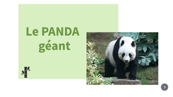 EXPOSÉ PANDA AFFICHE | Genially