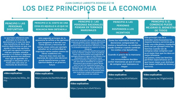 PRINCIPIOS ECONOMICOS