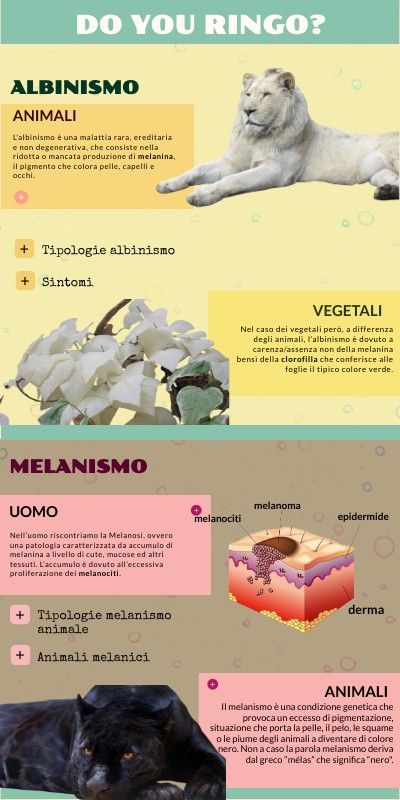 TYPES OF CELLS: VERTICAL INFOGRAPHIC