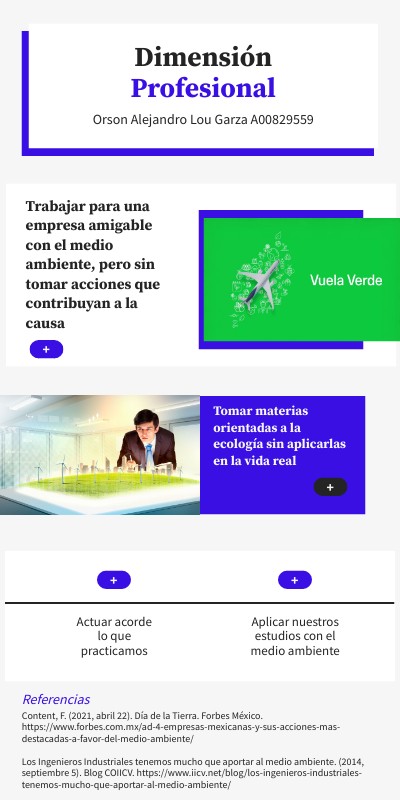 Dimensión Profesional