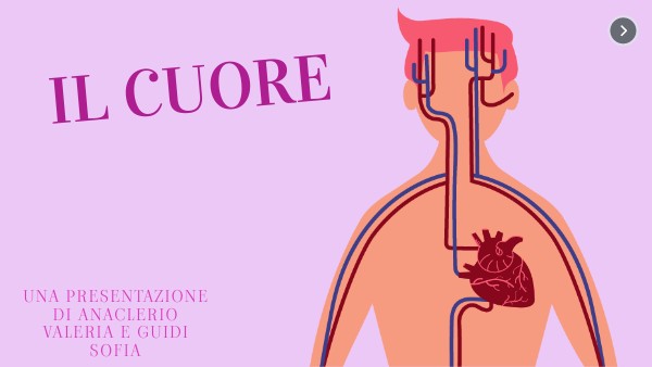 il cuore