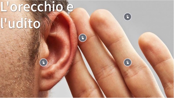 Infografica sull'orecchio