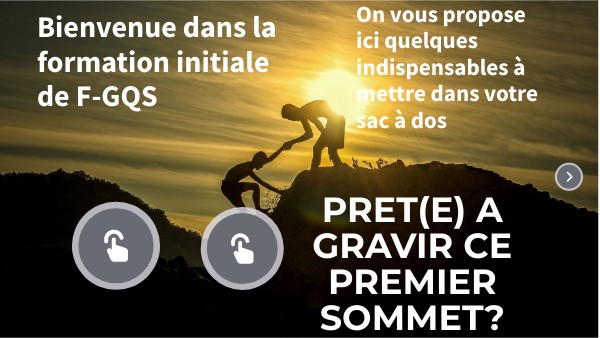 FI FQGS version définitive 1