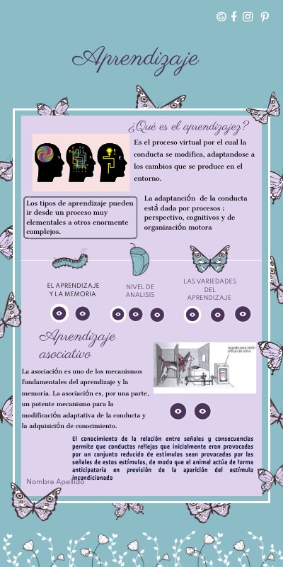 INFO VERTICAL MARIPOSAS | Genially