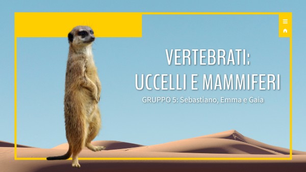 PRESENTAZIONE VERTEBRATI