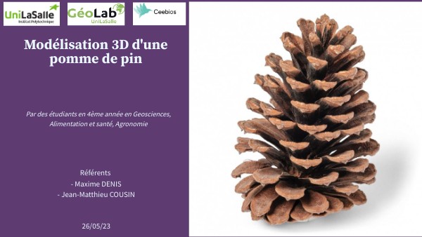 Mineure - Pomme de pin | Genially