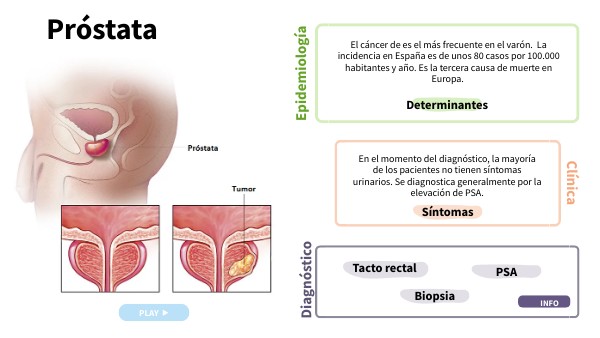 Próstata | Genially