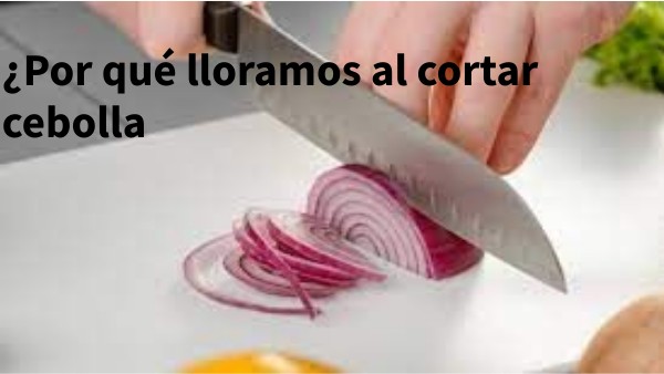 POR QUÉ LLORAMOS AL CORTAR CEBOLLA