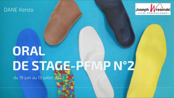 PFMP N°2 PRESENTATION ORALE K.DANE | Genially