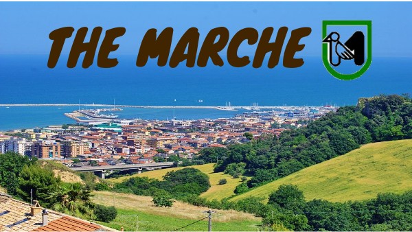 LE MARCHE